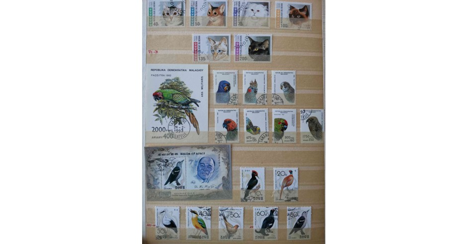 Vand clasor cu timbre stampilate | arhiva Okazii.ro