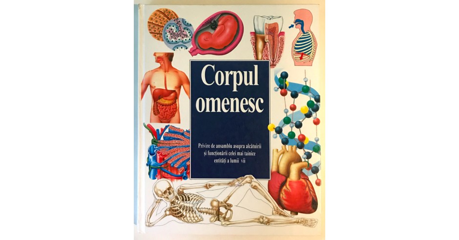 Corpul Omenesc - Enciclopedie Ilustrată, Aquila '93, Atlas Anatomie ...