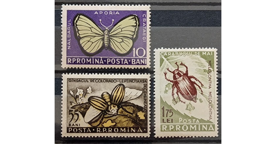 Insecte daunatoare - Lp 413 / 1956 - serie MNH | arhiva Okazii.ro