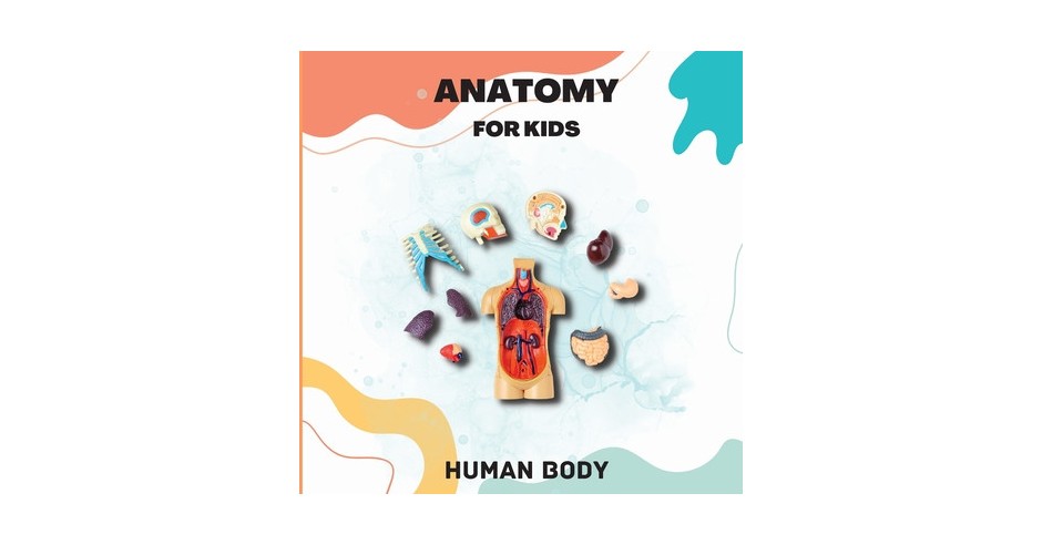 Human Body Anatomy for Kids: An Introduction to the Human Body for Kids ...