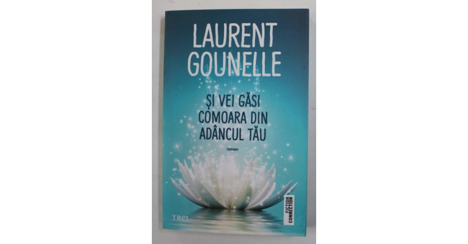 SI VEI GASI COMOARA DIN ADANCUL TAU , roman de LAURENT GOUNELLE , 2019 ...