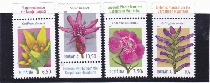 ROMANIA 2022- PLANTE ENDEMICE DIN CARPATI, VINIETA 1 - LP 2382, Flora ...