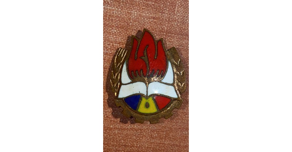 INSIGNA PIONIER/ STARE BUNA per.COMUNISM | arhiva Okazii.ro