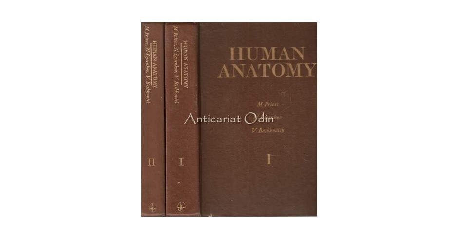 Human Anatomy - M. Prives, N. Lysenkov, V. Bushkovich | arhiva Okazii.ro