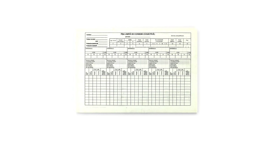 Fisa limita de consum colectiv, format A4, orientare vedere, 100 file ...