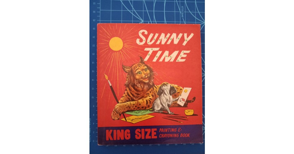 Sunny Time - album de colorat și activități - format mare - de colecție ...