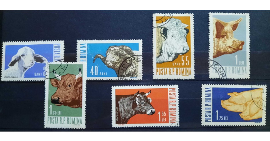 Timbre 1962 Animale de rasa | arhiva Okazii.ro