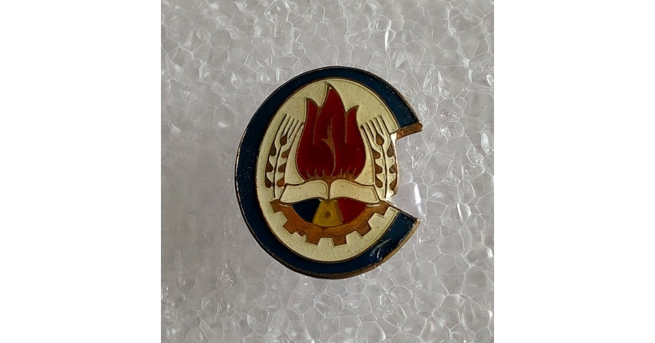 Insigna pionieri - Pionier comandant | arhiva Okazii.ro