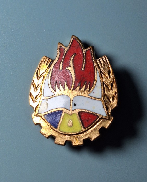 Insigna - Insigna Pionieri, Organizatia Pionierilor RSR, Romania de la ...