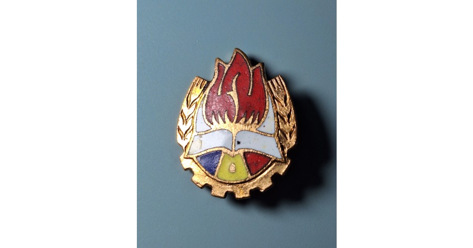 Insigna - Insigna Pionieri, Organizatia Pionierilor RSR, Romania de la ...