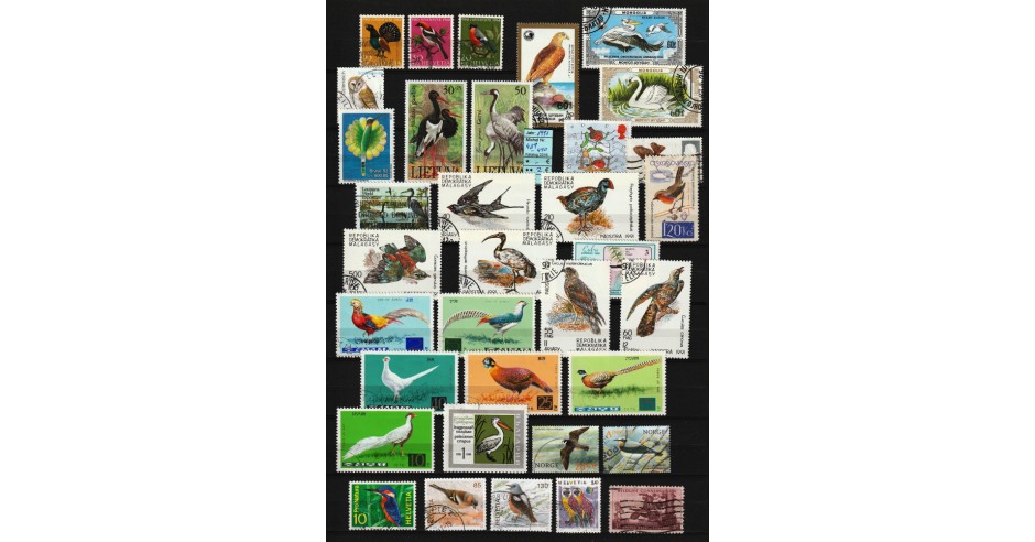 Lot timbre international - Animale | Pasari | Serii si valori div. - P ...