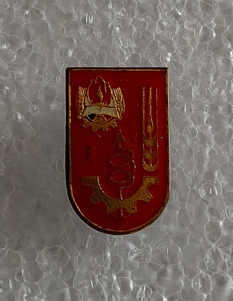 Insigna pionieri - Pionier inventator clasa I | arhiva Okazii.ro