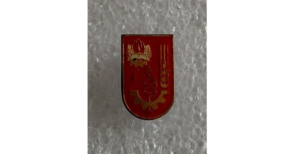 Insigna pionieri - Pionier inventator clasa I | arhiva Okazii.ro