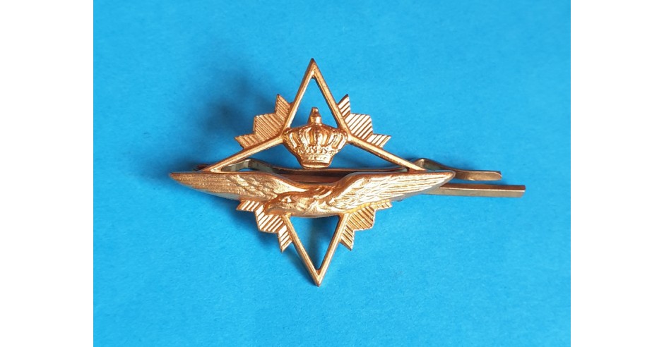 Insigna AVIATIE militara Internationala - Aviator - Pilot - Observator ...