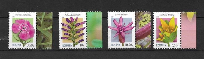 ROMANIA 2022- PLANTE ENDEMICE DIN CARPATI - LP 2382, Nestampilat ...