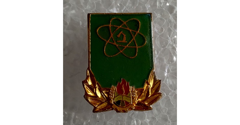 Insigna pionieri - Start spre viitor - Fara clasa, Romania de la 1950 ...