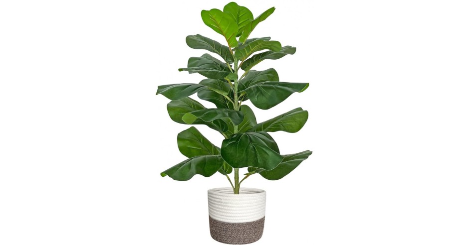 Planta Ficus Artificiala In Cos De Bumbac Cu Frunze Verzi, Inaltime 78 ...