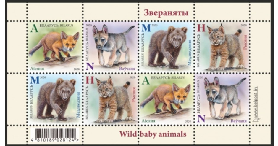 BELARUS 2020 FAUNA PUI DE ANIMALE SALBATICE URSI LUPI VULPI RASI ...