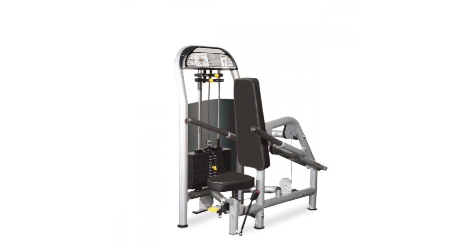 Aparat flotari pentru triceps SPORTMANN, F-5013 | Okazii.ro
