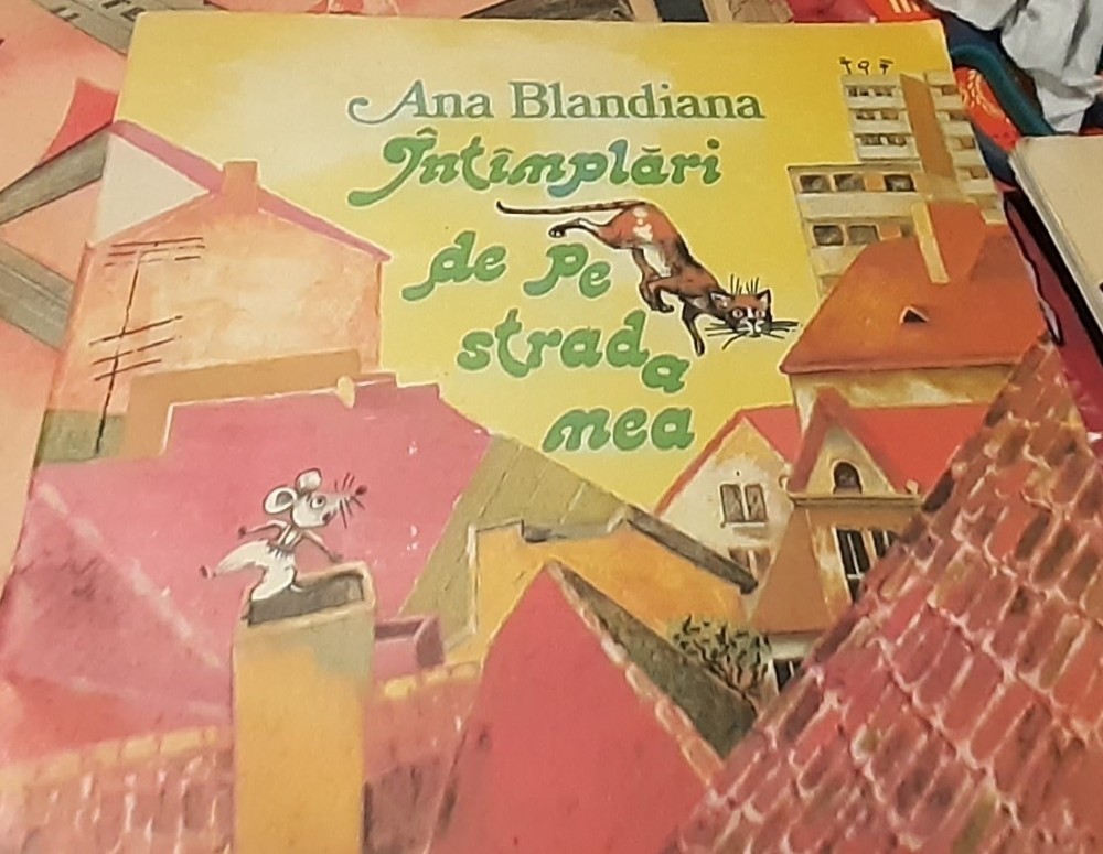 INTAMPLARI DE PE STRADA MEA ANA BLANDIANA ILUSTRATII DOINA BOTEZ ...