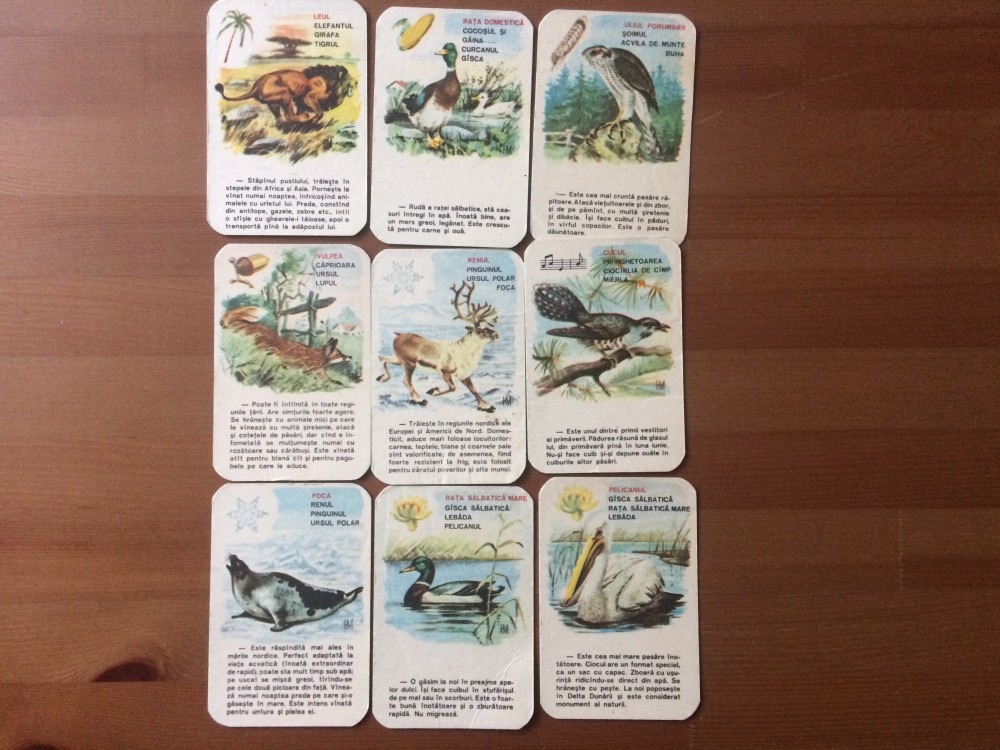 LOT 9 CARTI CARTONASE JOC ANIMALE SALBATICE VECHI COMUNISTE EPOCA DE ...