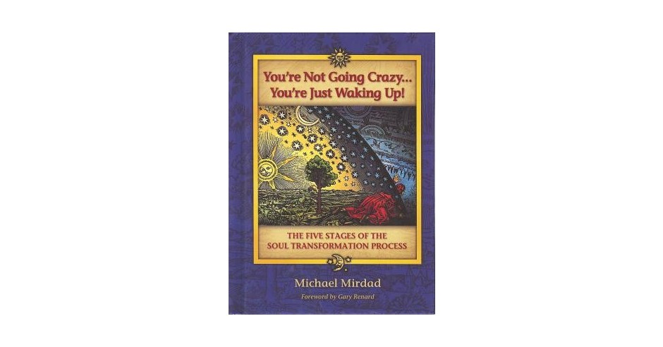 You're Not Going Crazy... You're Just Waking Up!: The Five Stages of ...