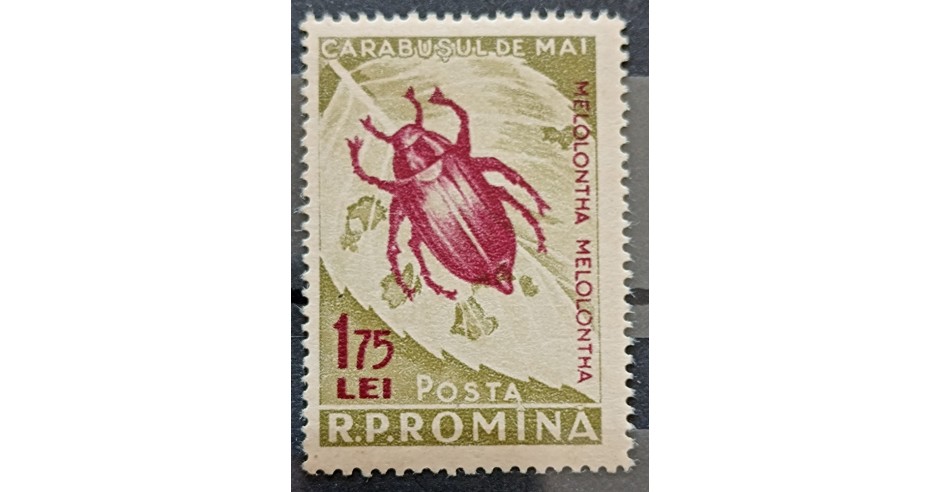 Insecte daunatoare / eroare - culoare schimbata - Lp 413a / 1956 - MNH ...