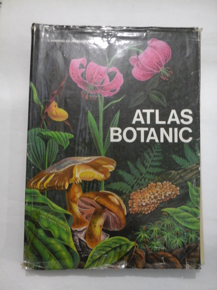 ATLAS BOTANIC | arhiva Okazii.ro