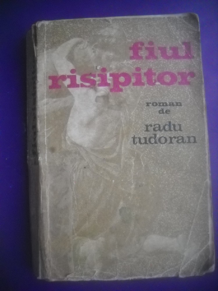 HOPCT FIUL RISIPITOR / RADU TUDORAN - 1971 / 429 PAGINI | arhiva Okazii.ro