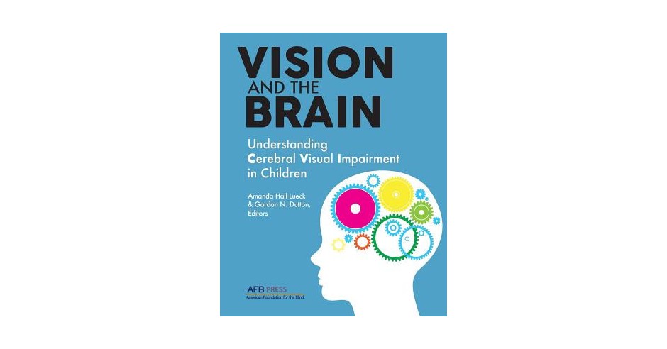 Vision and the Brain: Understanding Cerebral Visual Impairment in ...
