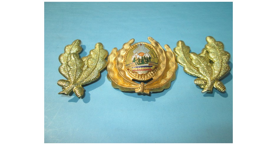 5048-Insigna Cap chipiu militar Stema RSR metal aurit emailat cu 2 ...