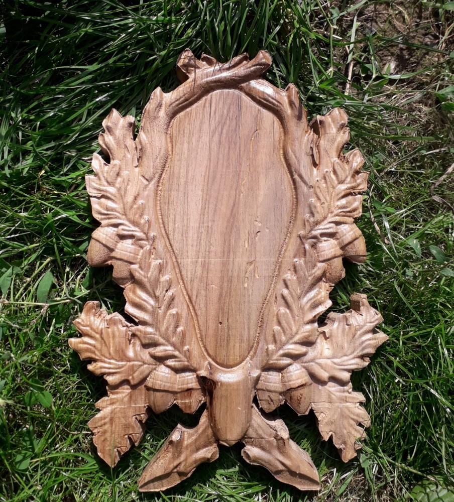 Panoplie caprior , tap nuc - 20x30cm vanatoare trofeu | arhiva Okazii.ro