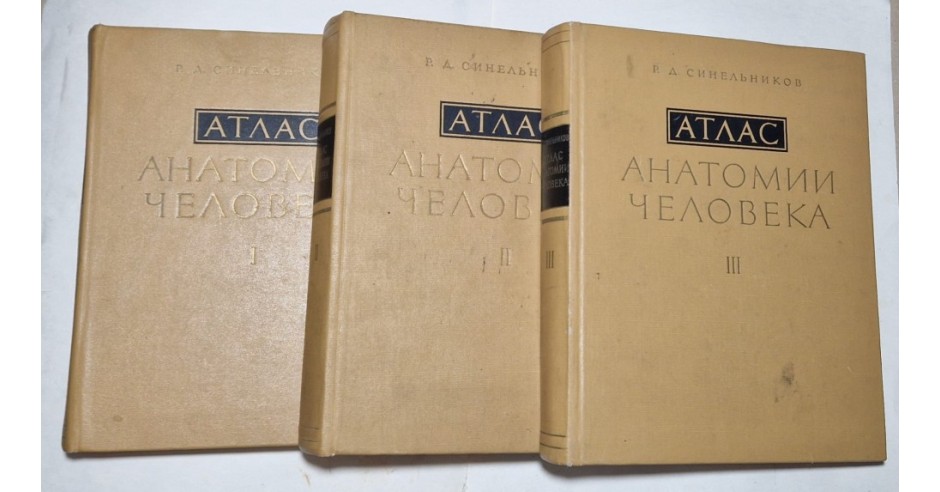 ATLAS DE ANATOMIE UMANA - EDITIE IN LIMBA RUSA - R. D. SINELNIKOV , 3 ...