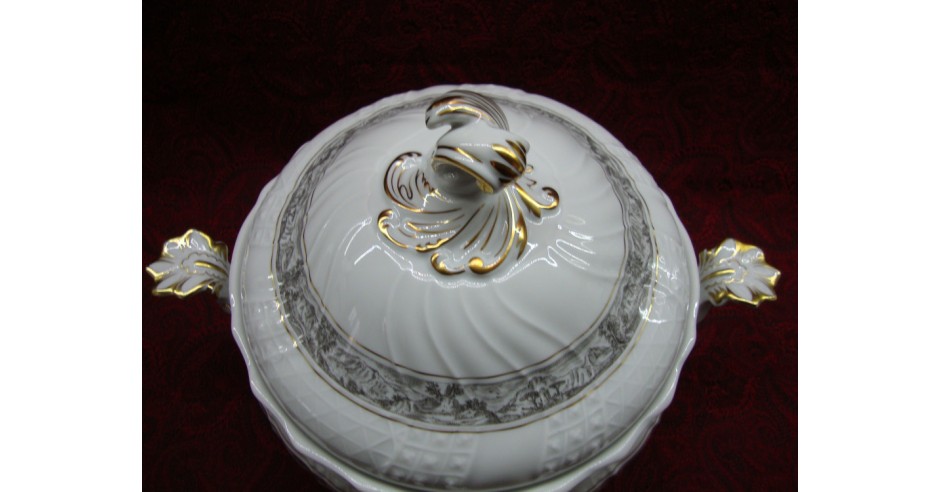 SUPIERA DIN PORTELAN HUTSCHENREUTHER CAMPAGNA CU MODEL IN RELIEF ...