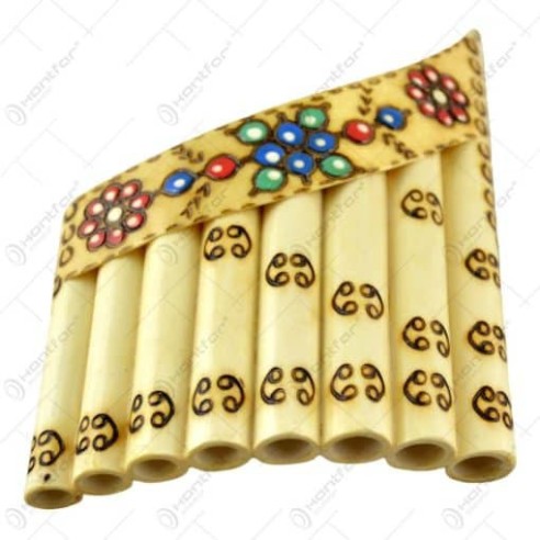 Instrument nai. Cumpara ieftin, pret bun