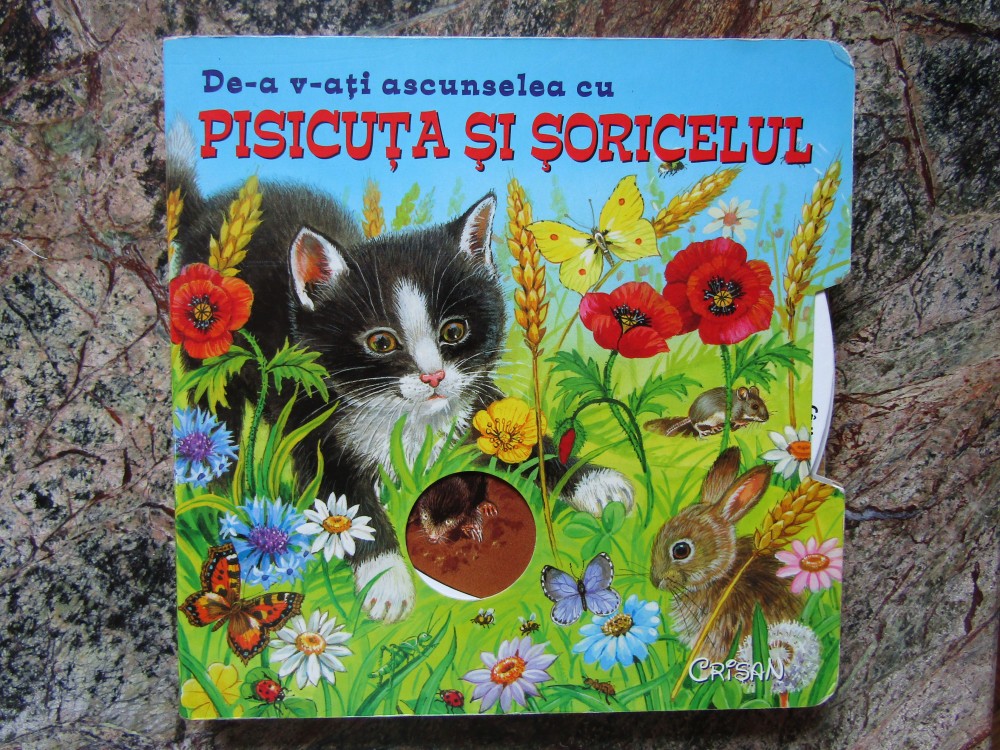 DE-A V-ATI ASCUNSELEA CU PISICUTA SI SORICELUL-ANDREI CRISAN | arhiva ...