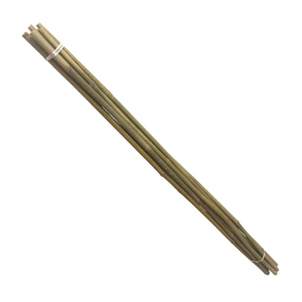 Suport/arac pentru plante, rosii, Strend Pro, bambus, set 10 buc, 0.8 ...