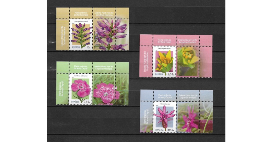 ROMANIA 2022- PLANTE ENDEMICE DIN CARPATI, VINIETA 1 - LP 2382 ...