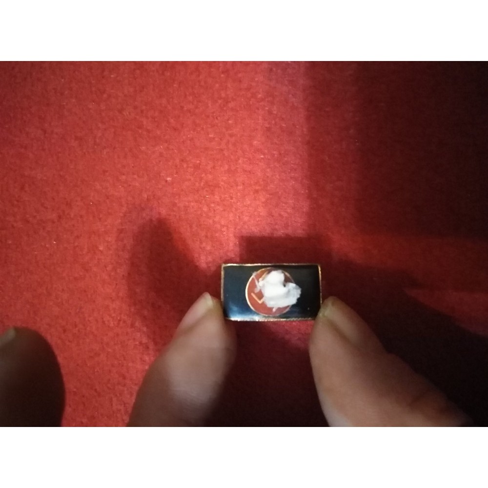 Insigna WW2, zvastica | arhiva Okazii.ro