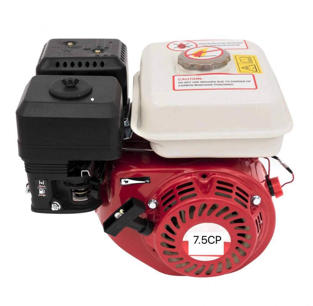 Motor pe benzina Campion 170F, 7.5CP, ax pana la 20mm, 4 timpi, pentru ...