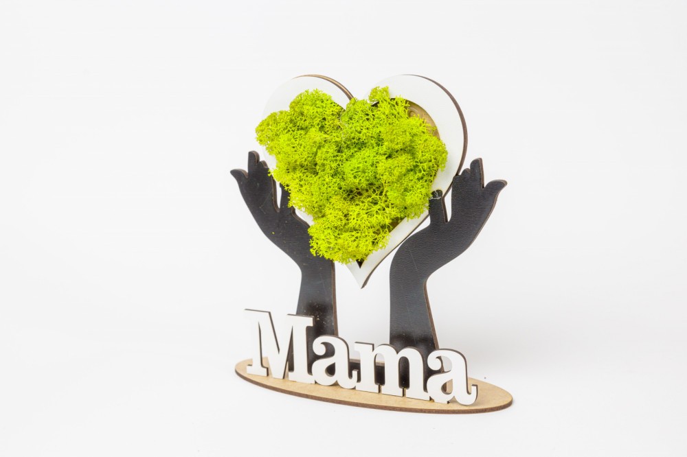 Rama mana cu inima cu licheni | arhiva Okazii.ro