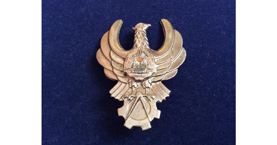 Insigna militara - Romania - Specialist de clasa - Inginer de bord - Avia?ie RSR | arhiva Okazii.ro