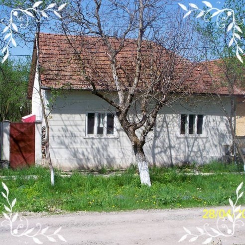 Case de vanzare in arad ieftine. Cumpara ieftin, pret bun