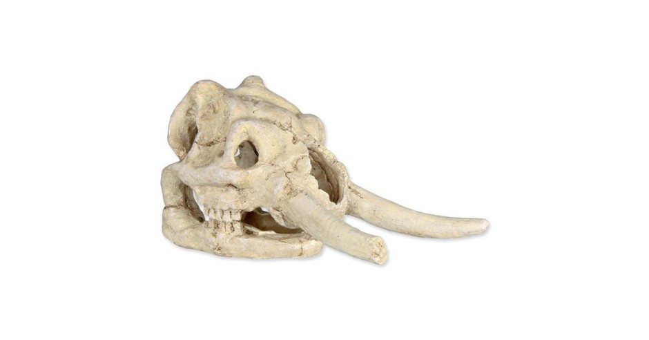 Ornament acvariu - SCHELET ANIMAL, mamut | arhiva Okazii.ro