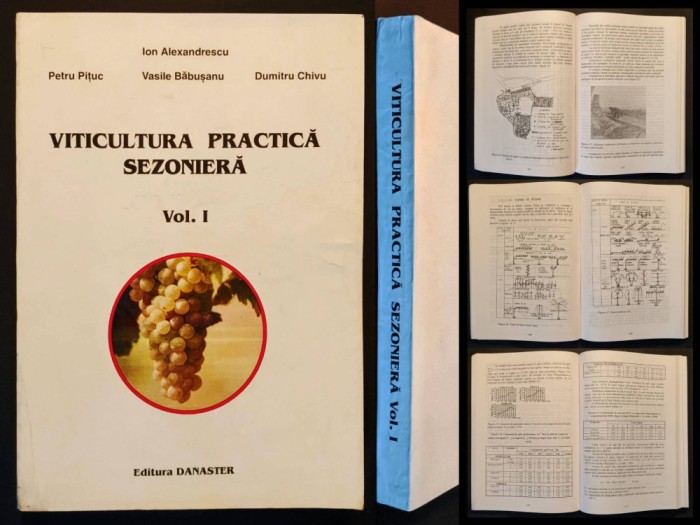 Rara VITICULTURA PRACTICA SEZONIERA Intretinerea Plantatiilor Vita de ...