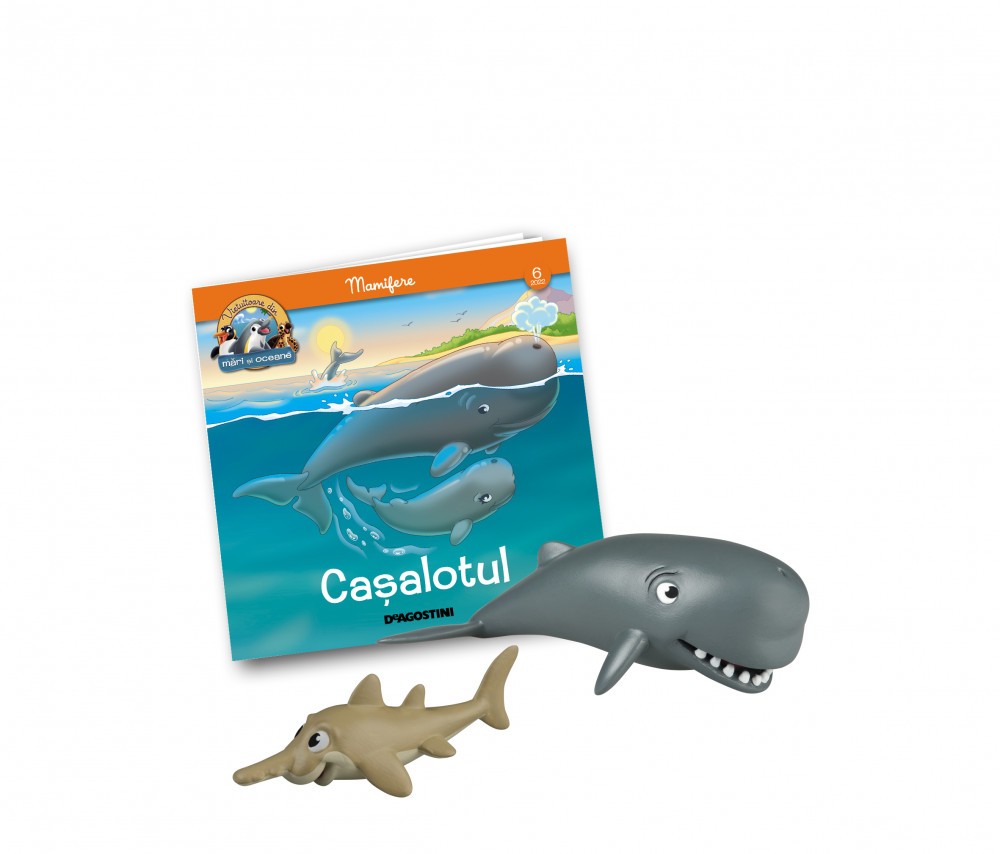 Revista Vietuitoare din mari si oceane 2022 , Nr.6 ? Casalotul (tatal ...