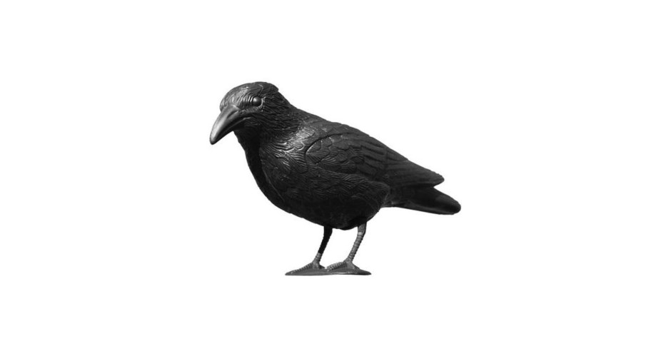 Sperietoare pentru pasari mici, tip figurina corb, 40x22cm, negru ...