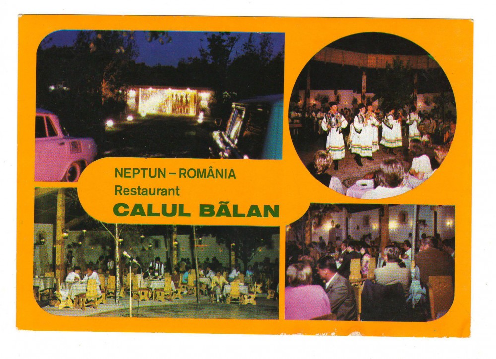 CPIB 18591 FELICITARE - NEPTUN. RESTAURANT "CALUL BALAN", MOZAIC ...