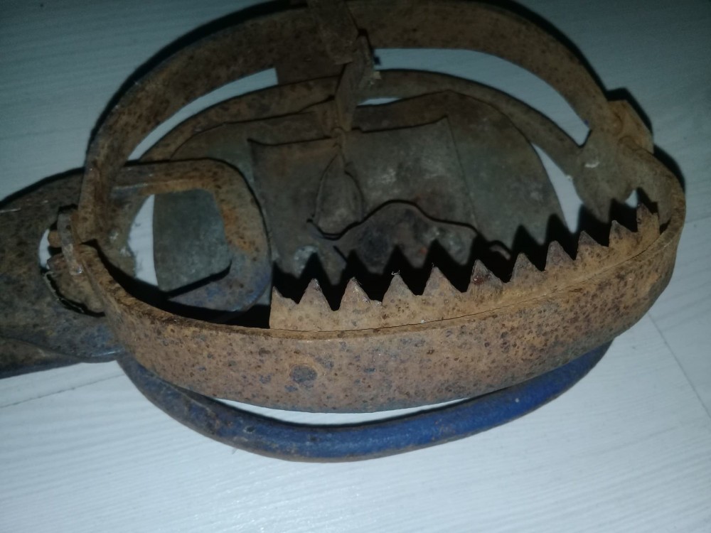 Capcana animale Mare,capcana veche animale,capcanta model antic pt ...