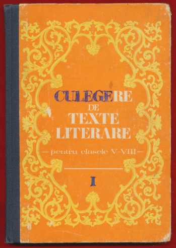 V-i in Culegeri exercitii Didactica Si Pedagogica